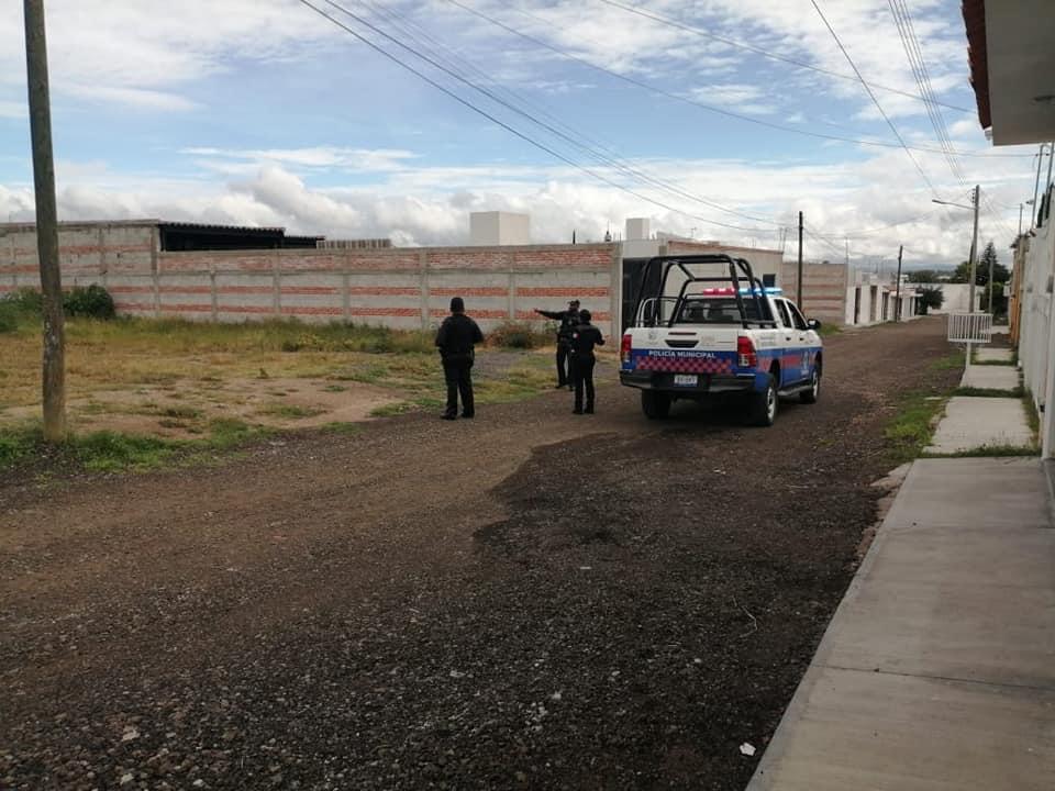 Reportan avistamiento de puma en San Juan Del Río, Querétaro