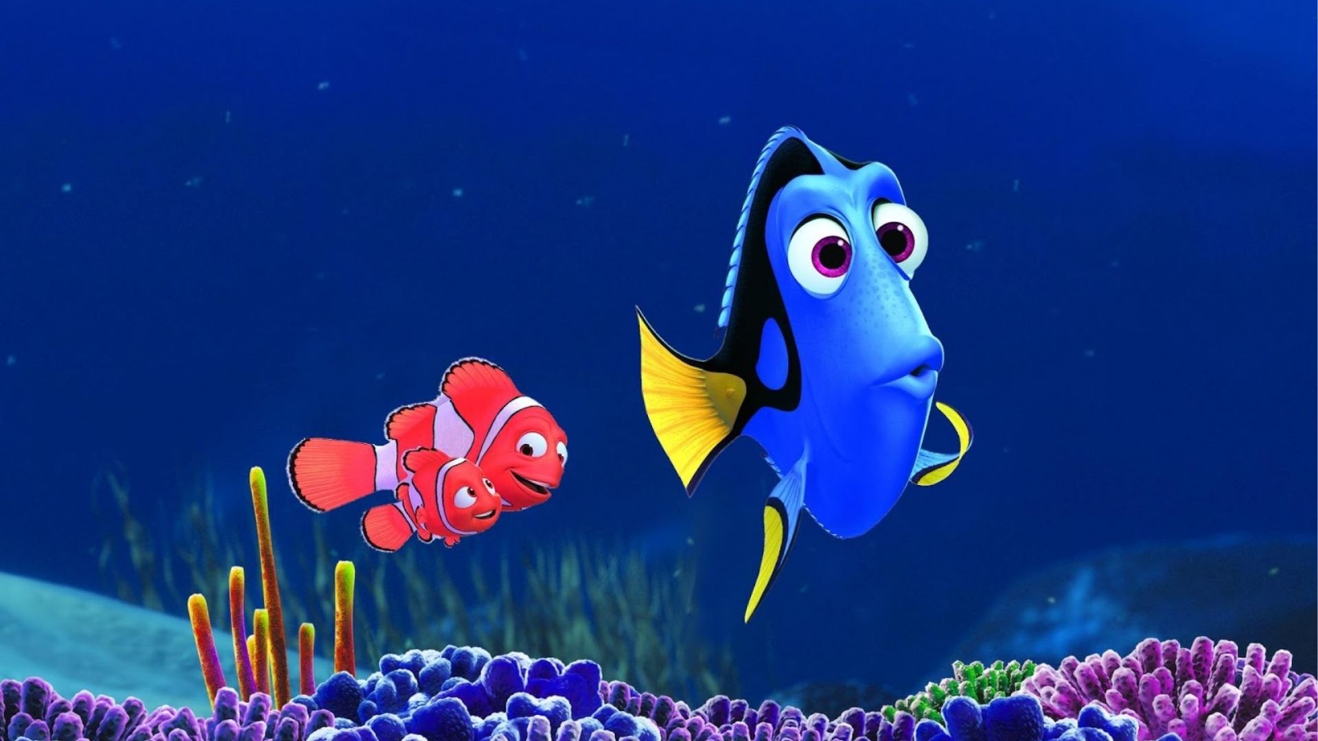 7 señales de que eres como Dory de Buscando a Dory.