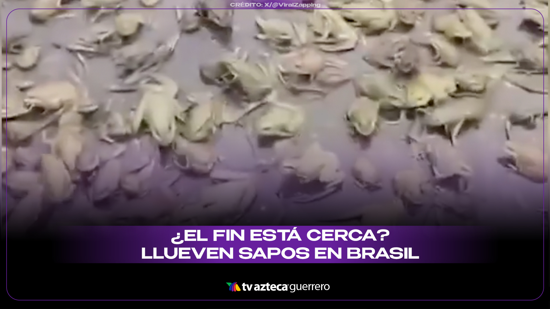 Llueven miles de sapos en calles de Minas Gerais Brasil: video