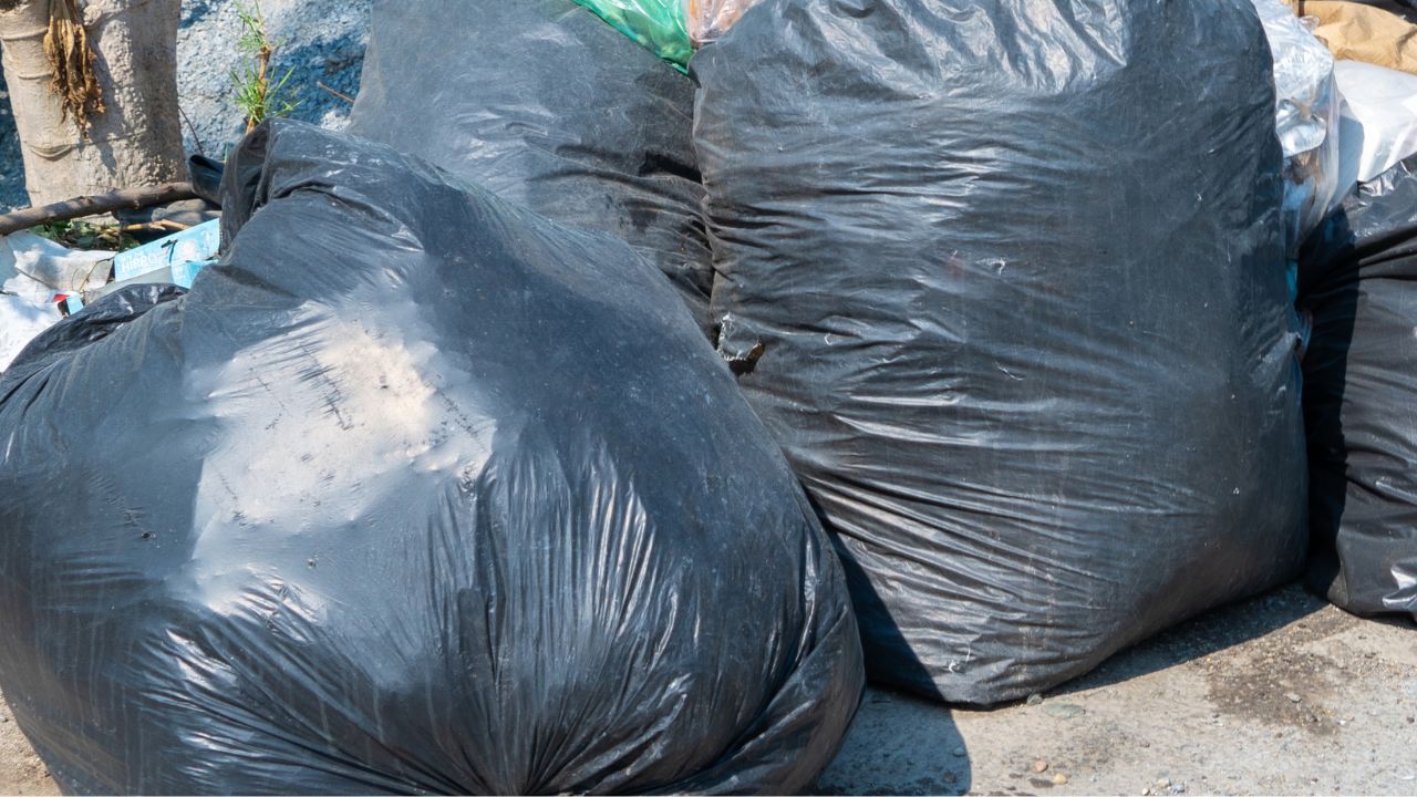 ¿Qué pasó en la Vía Rápida Tijuana hoy domingo 25 de mayo de 2025?