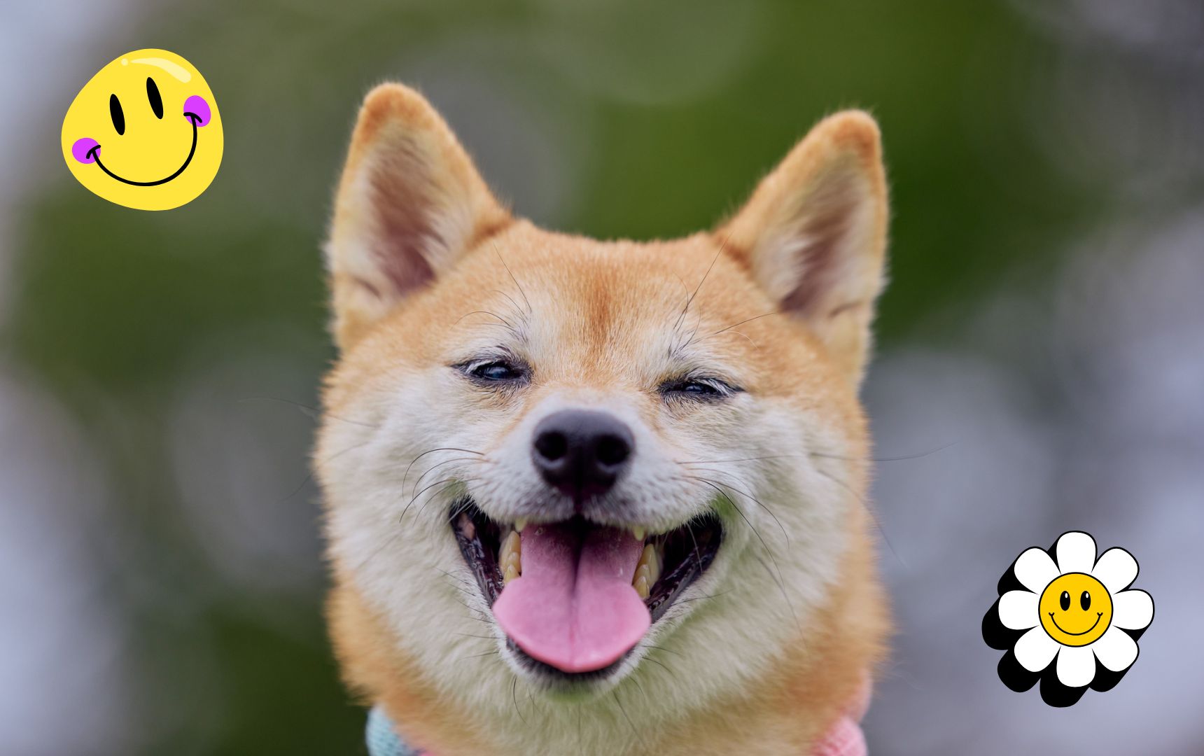 Día de la Sonrisa: frases bonitas y chistes cortos para compartir y ...