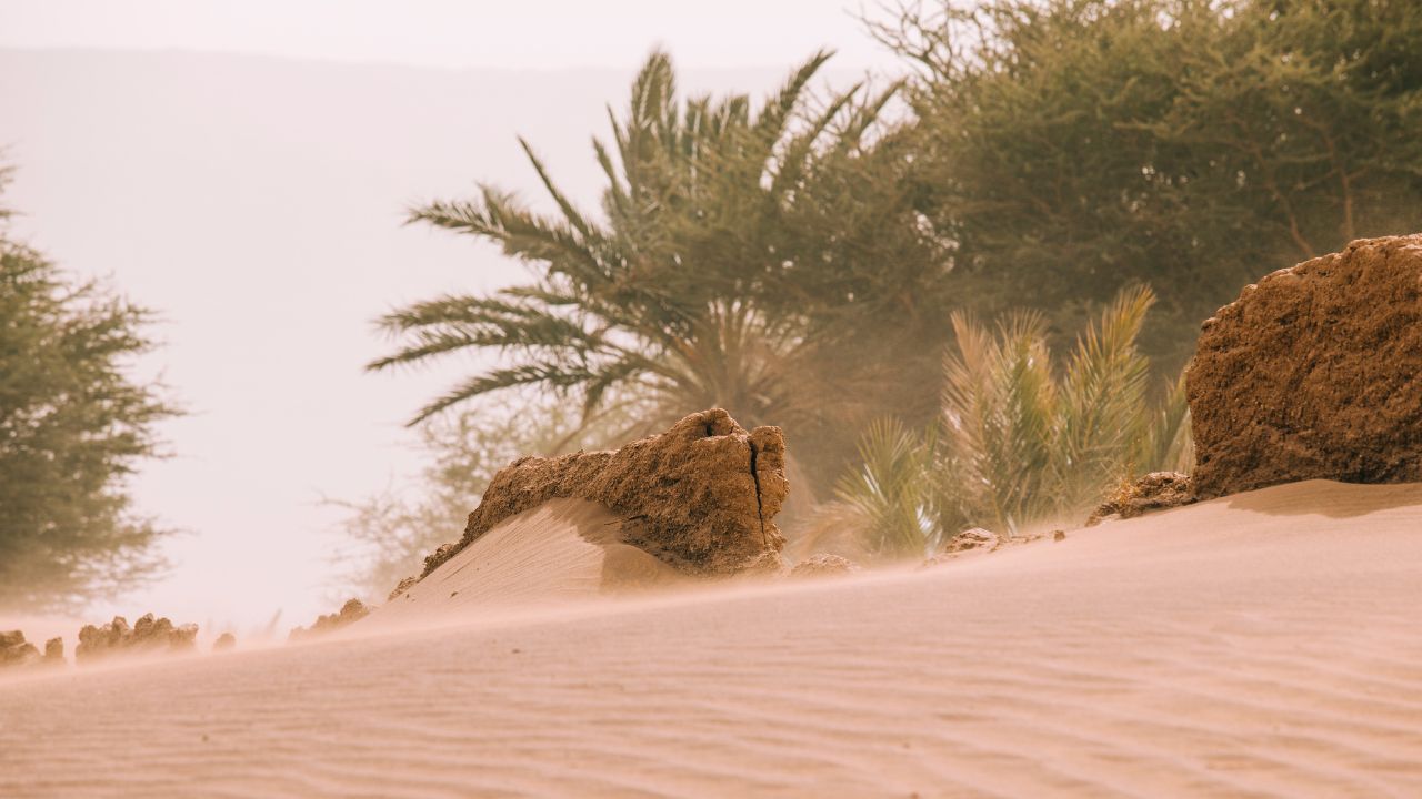 🌬️ Polvo del Sahara en México afectará a varios estados este 2024 ...