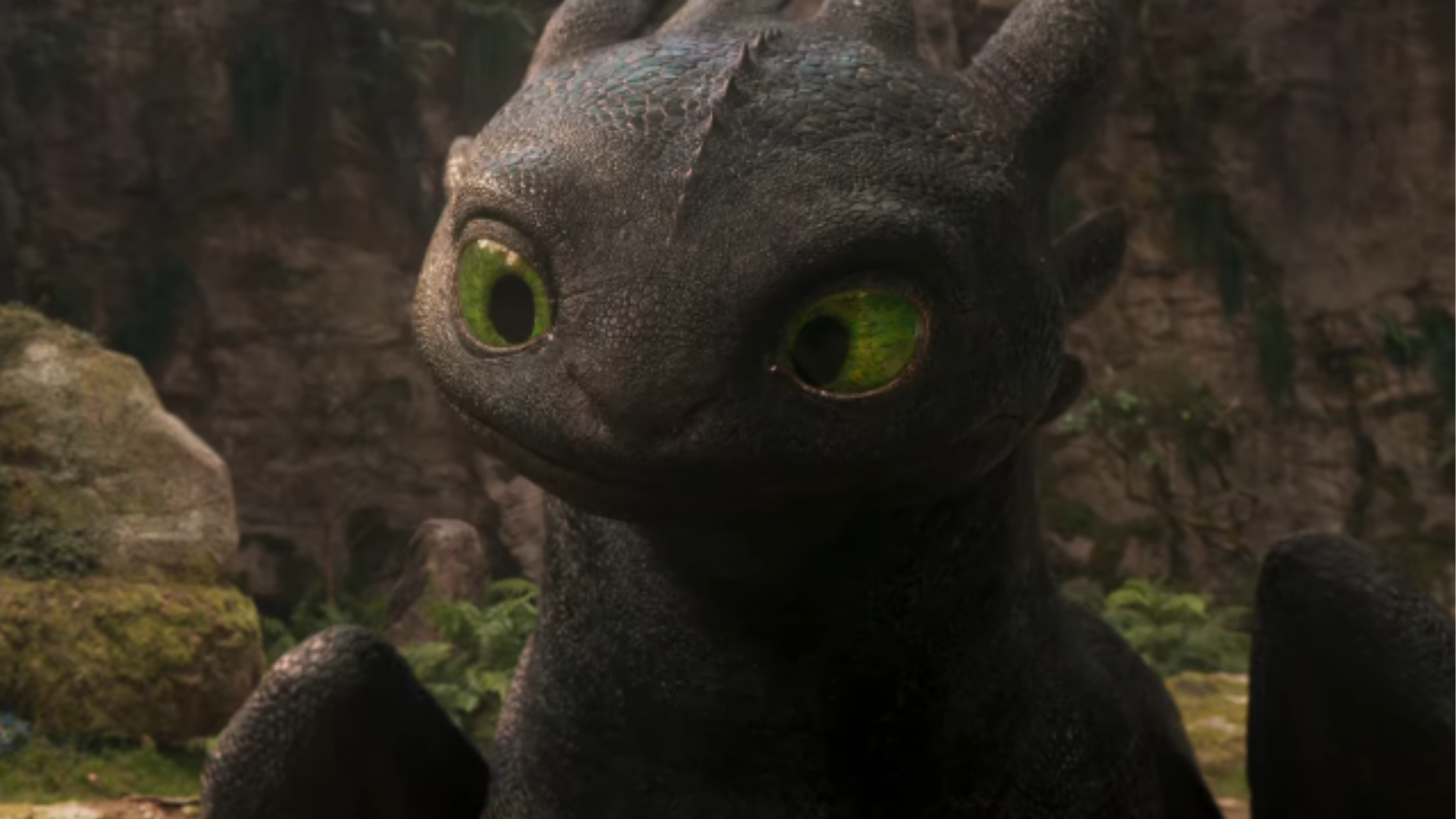 Cómo entrenar a tu Dragón: todo lo que debes saber