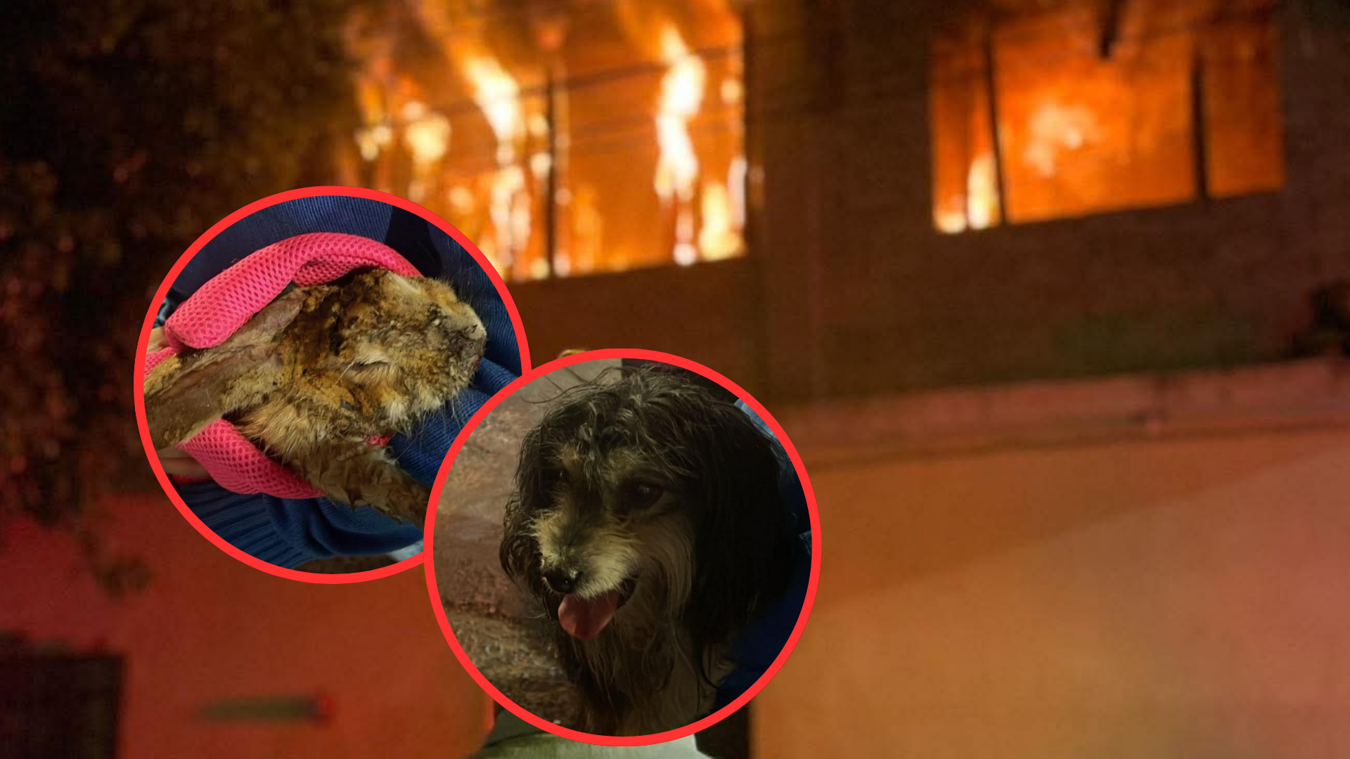 Incendio en casa habitación de la colonia San Gregorio deja daños ...