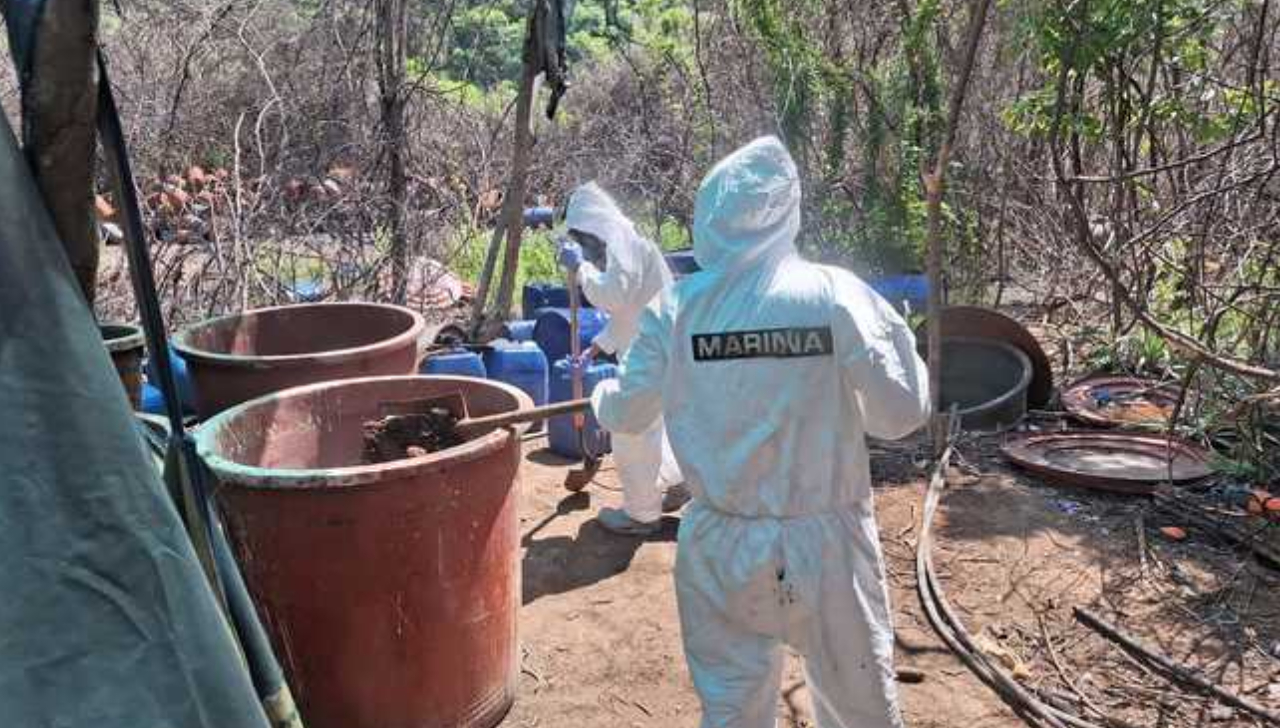 Fuerzas Armadas desmantelan seis narcolaboratorios en Sinaloa