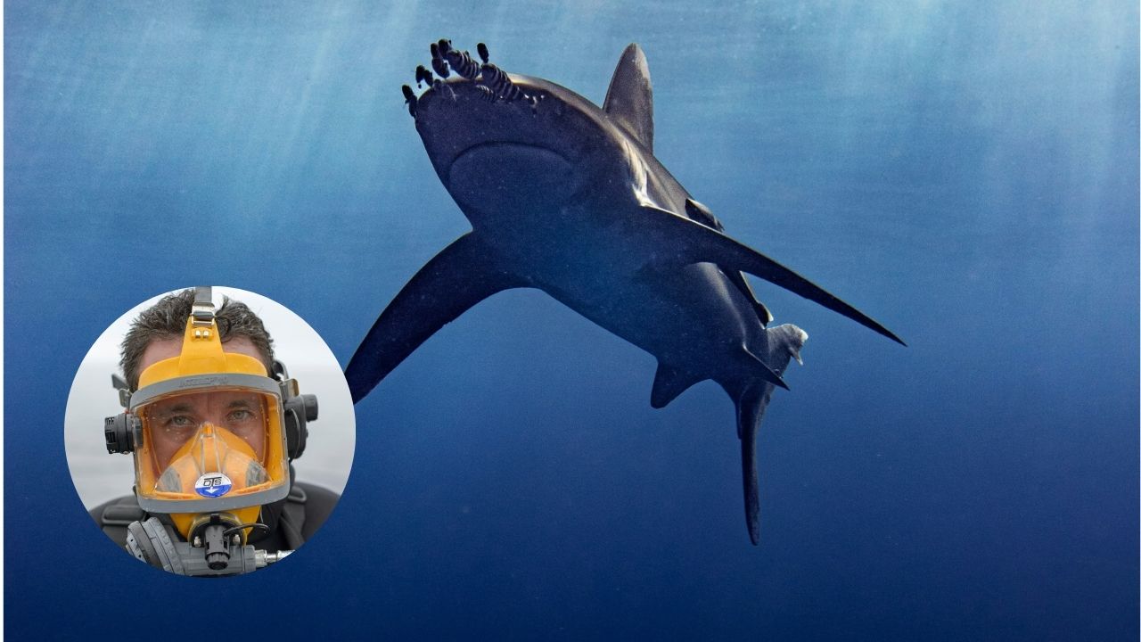 Costa Rica: Biólogo mexicano recibe ataque de por tiburón en la Isla ...
