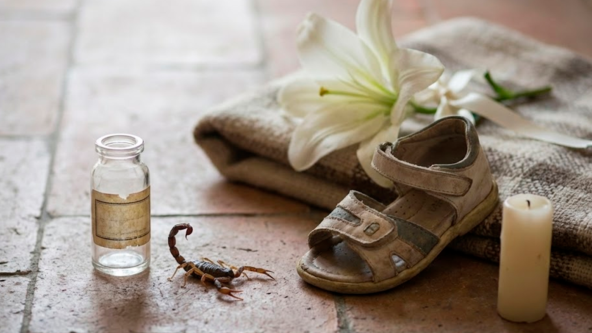 Niña muere por picadura de alacrán en Copalillo, Guerrero: acusan de ...