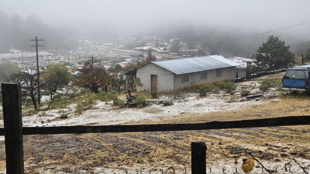 Primera nevada de la temporada 2025 en La Rosilla, Durango | Video