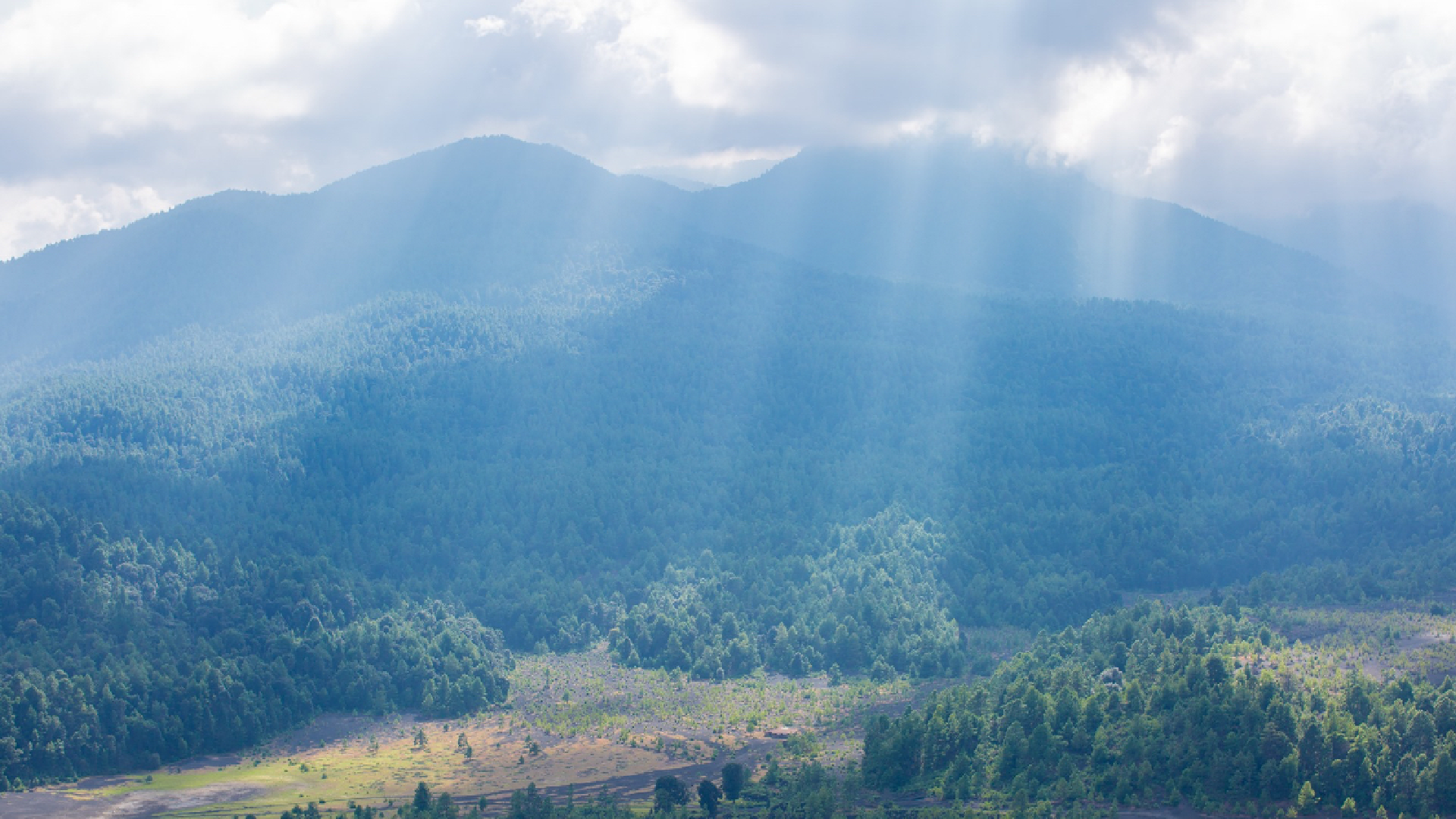 Clima Michoacán hoy 14 de mayo de 2025: ¿cuál es el pronóstico del ...
