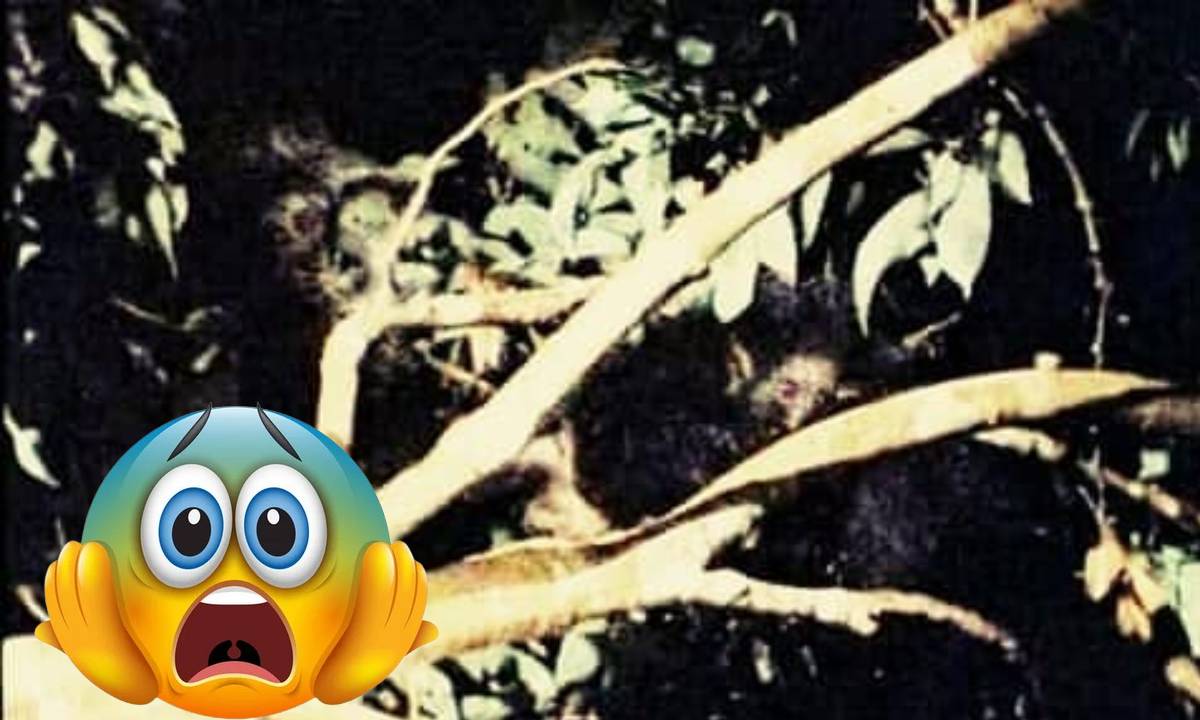 ¿Qué son los chaneques y por qué aparecen en Veracruz?