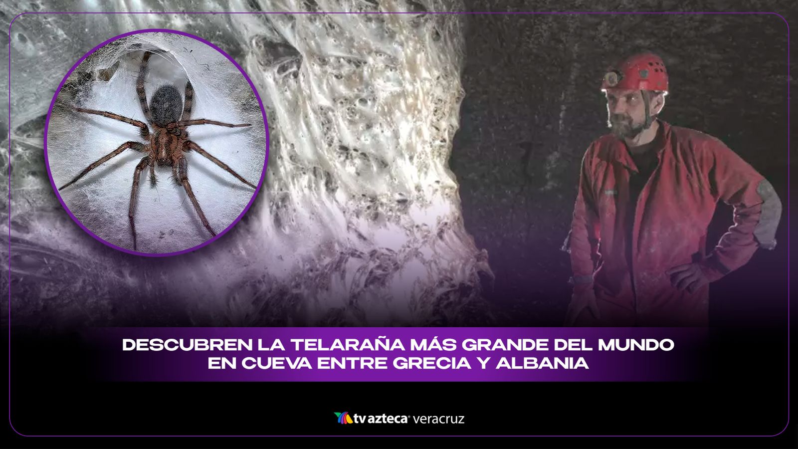 ¿Qué se sabe del hallazgo de la telaraña más grande del mundo en cueva ...