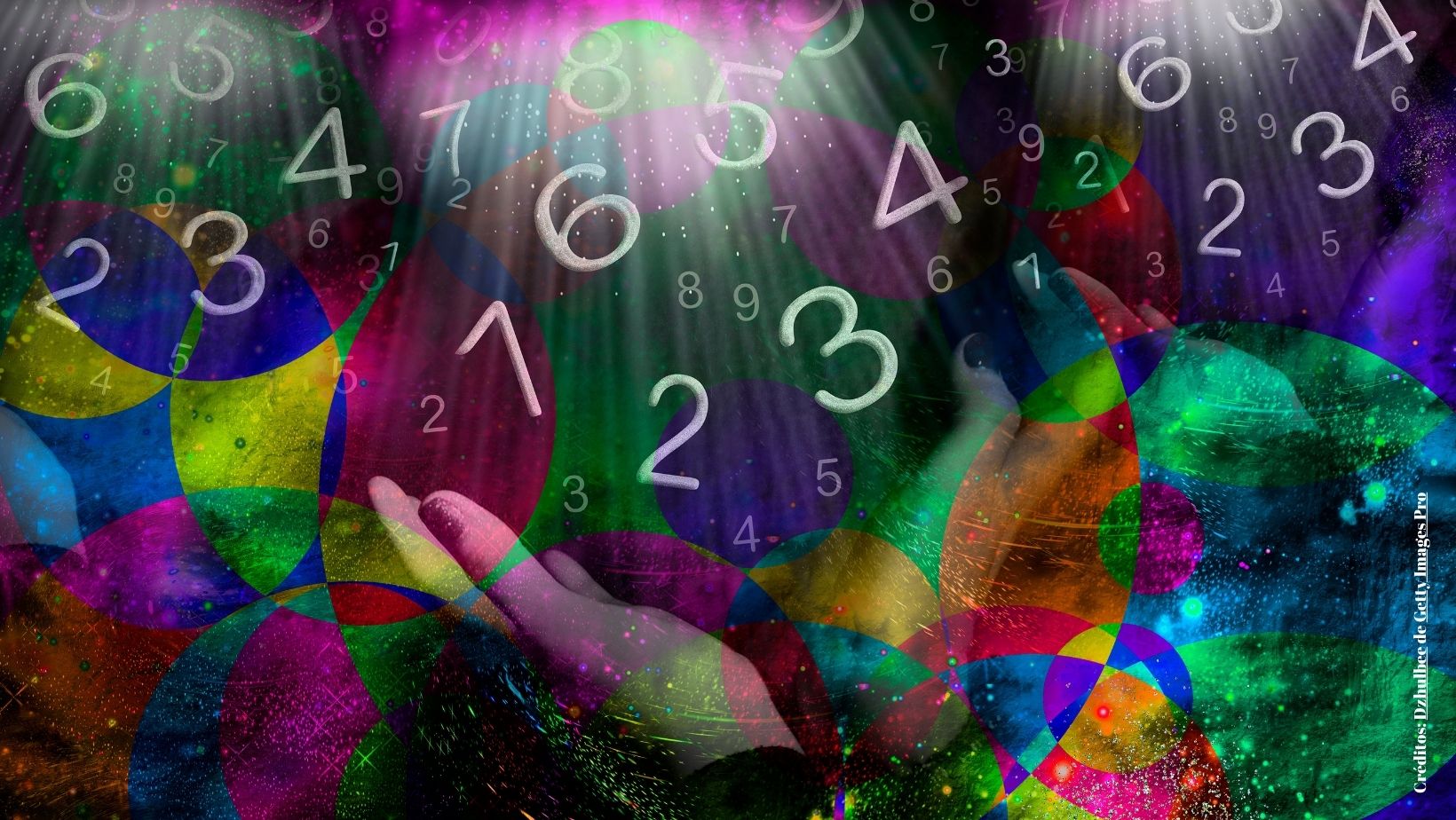 Numerología: ¿Qué animal eres?