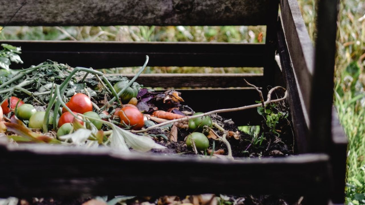 ¿Cómo hacer una composta y cuáles son sus beneficios?