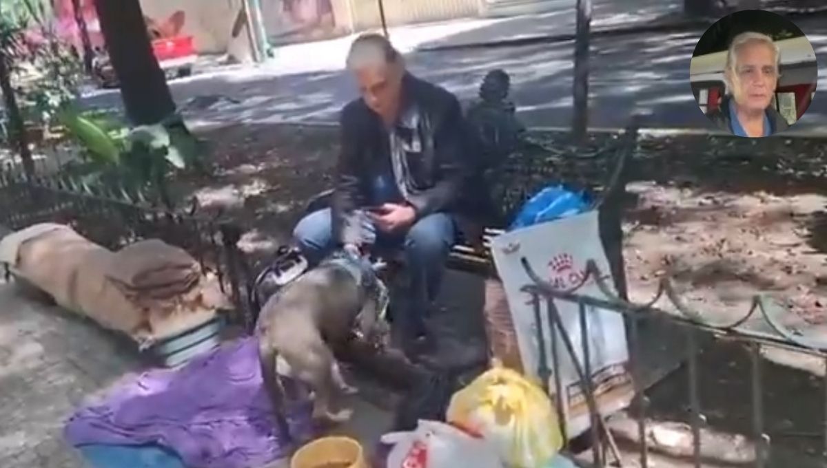 ¿Qué fue de Alejandro Landero? El actor fue hallado en situación de ...