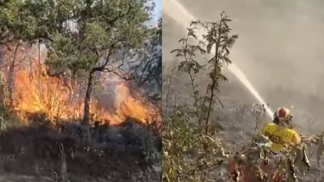 Incendios forestales en Hidalgo: Suman más de 10 siniestros en 48 horas ...