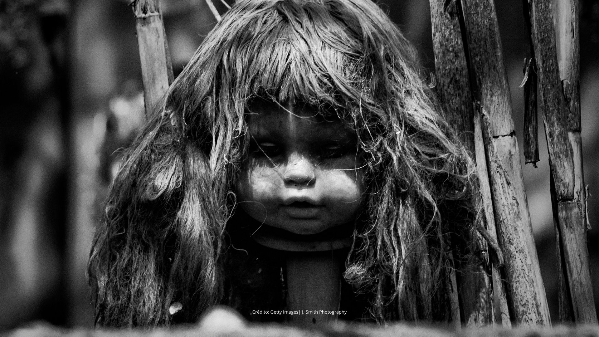 La Isla de las Muñecas: Un lugar entre la fascinación y el terror