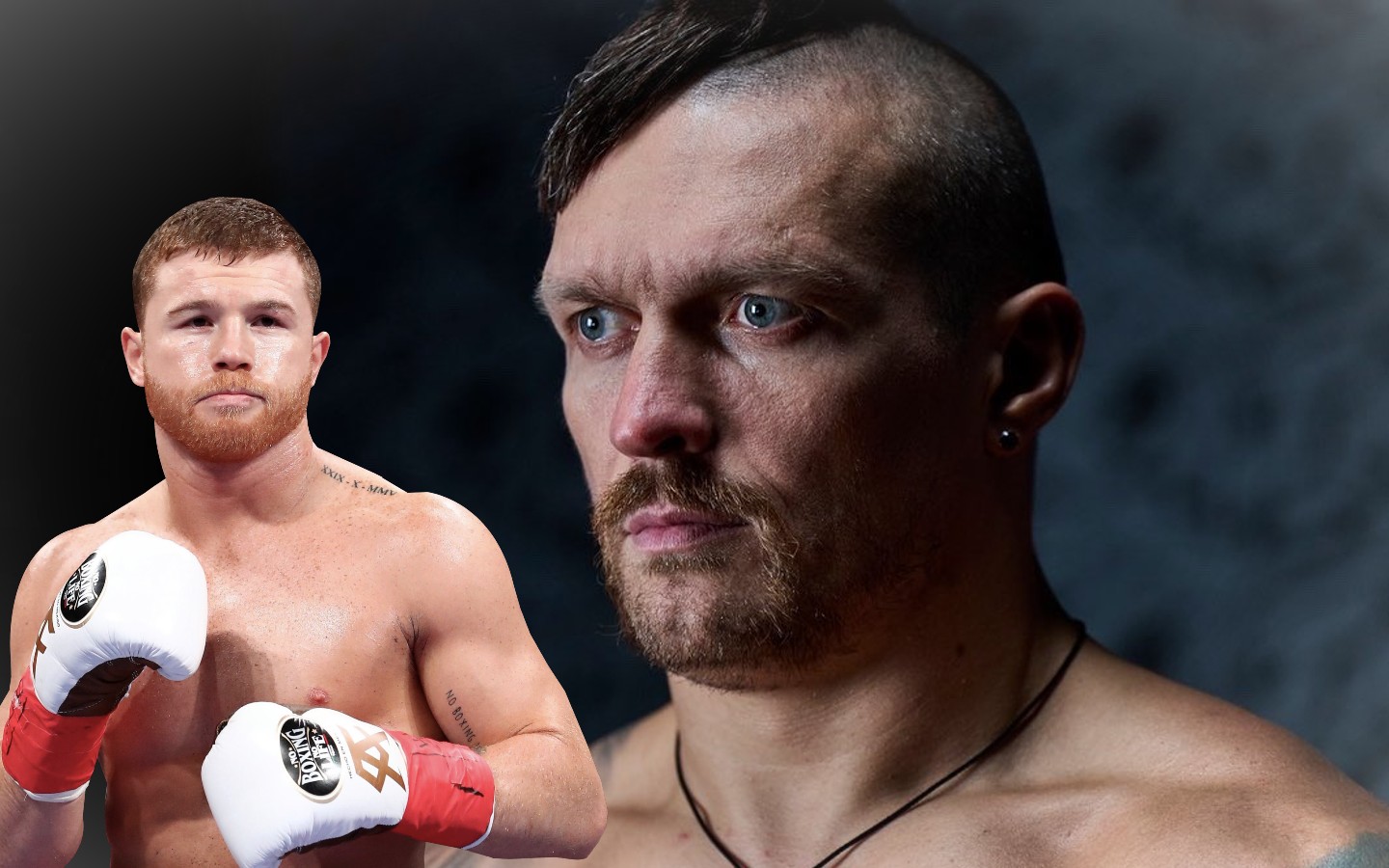 Estas son todas las divisiones del boxeo y sus referentes por categoría