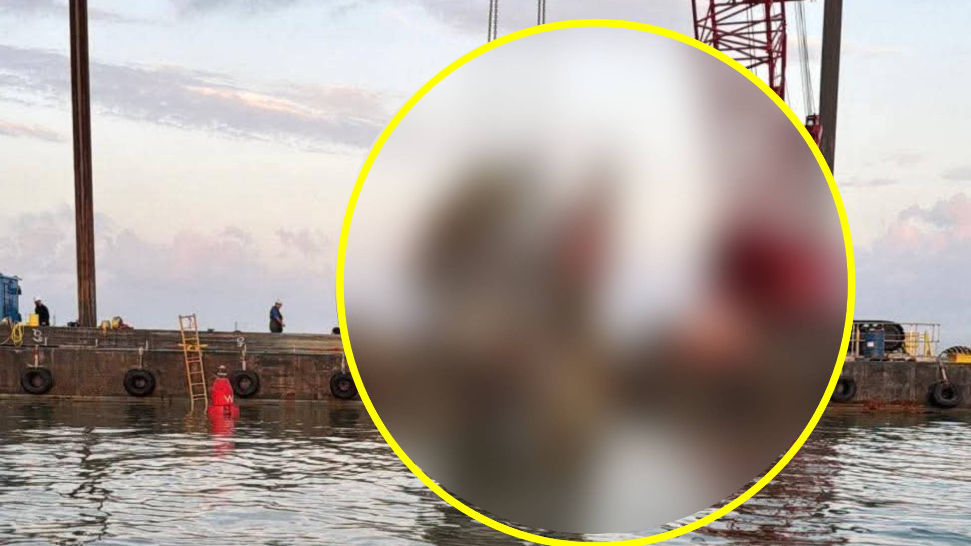 Así hallaron avión de la Marina tras accidente aéreo