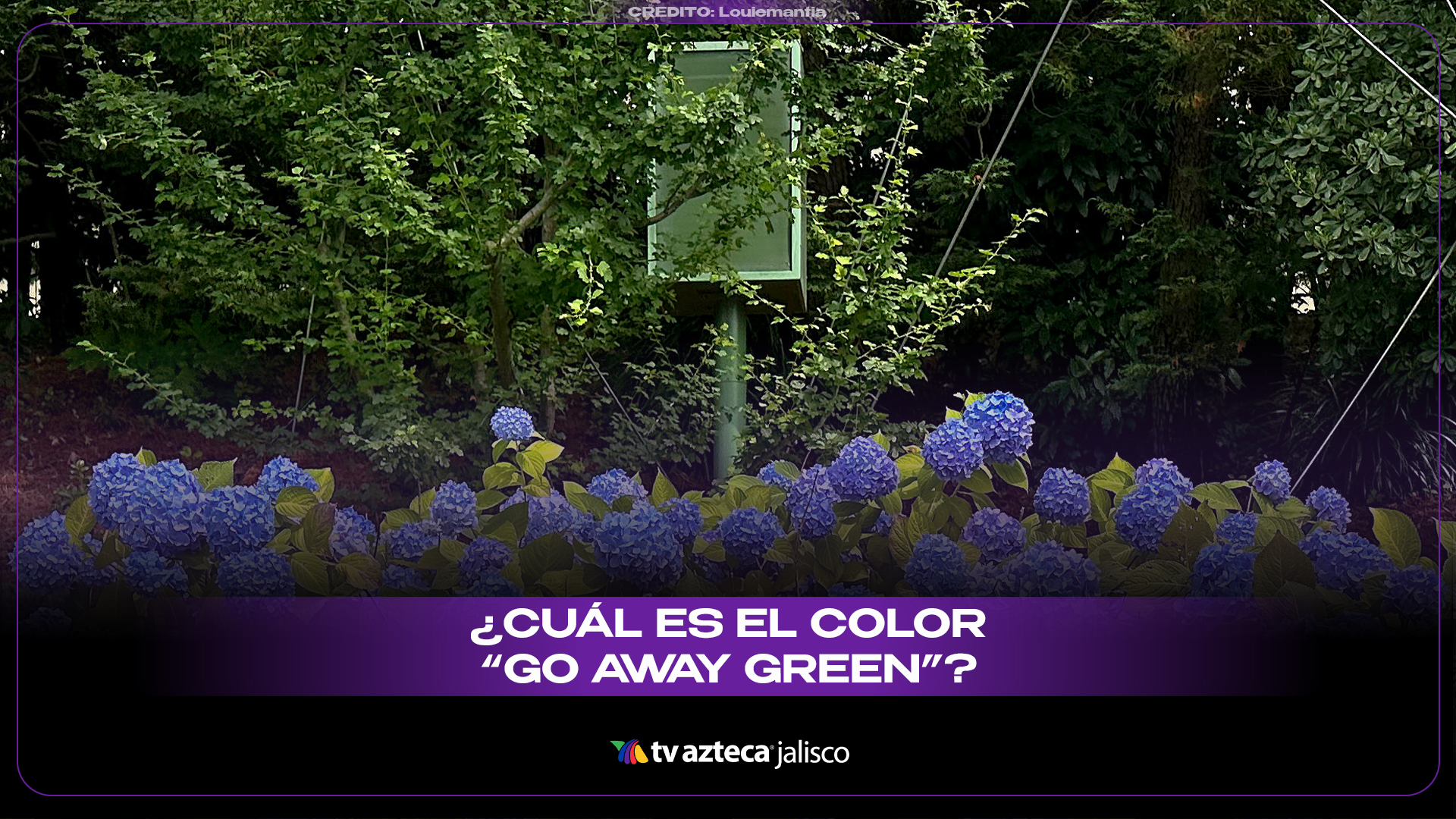¿Cuál es el color GO AWAY GREEN y su relación con Disney? El truco para ...