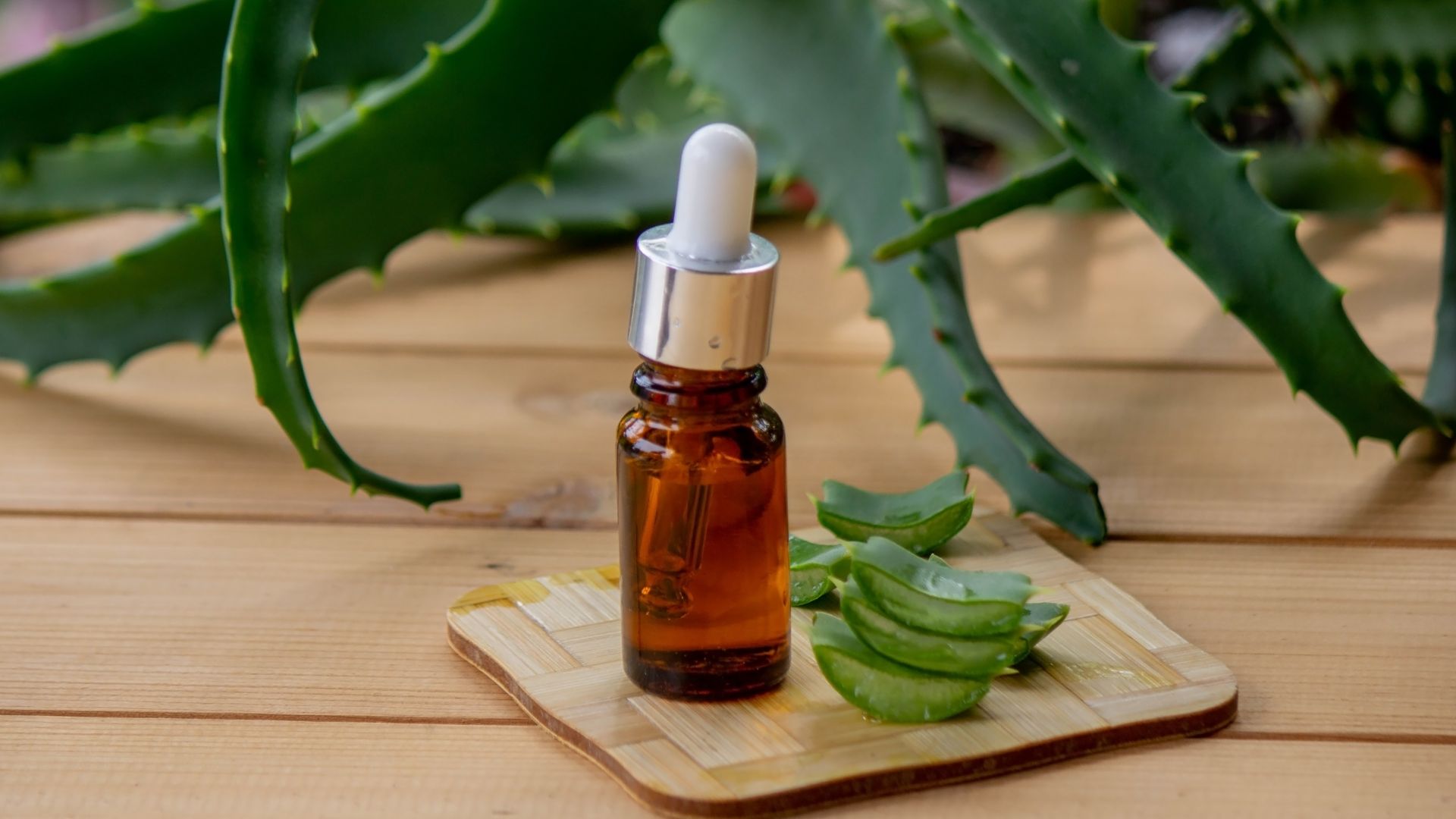 El tratamiento con aloe vera que revitalizará tu cabello