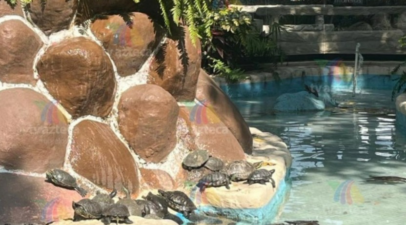 ¿Qué hacer en Cuautla? Horarios Turibus