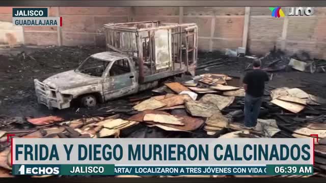 Dos perros mueren calcinados en incendio presuntamente provocado