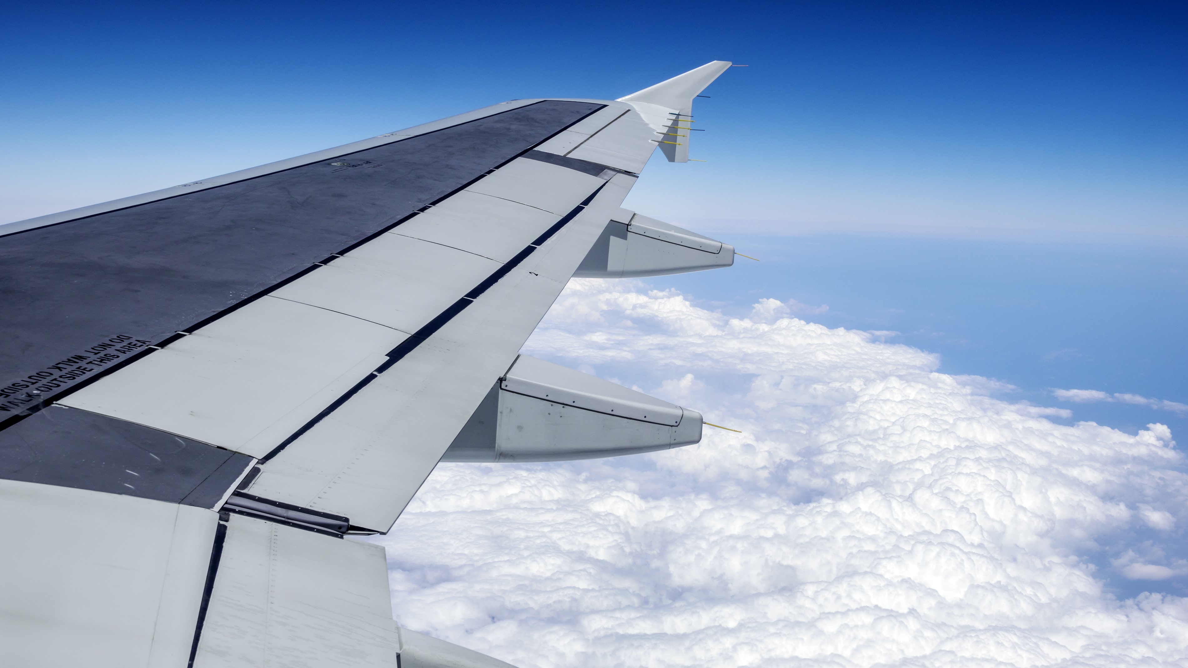 Aerolínea mexicana ofrece boletos para viajar en diciembre, conoce los ...