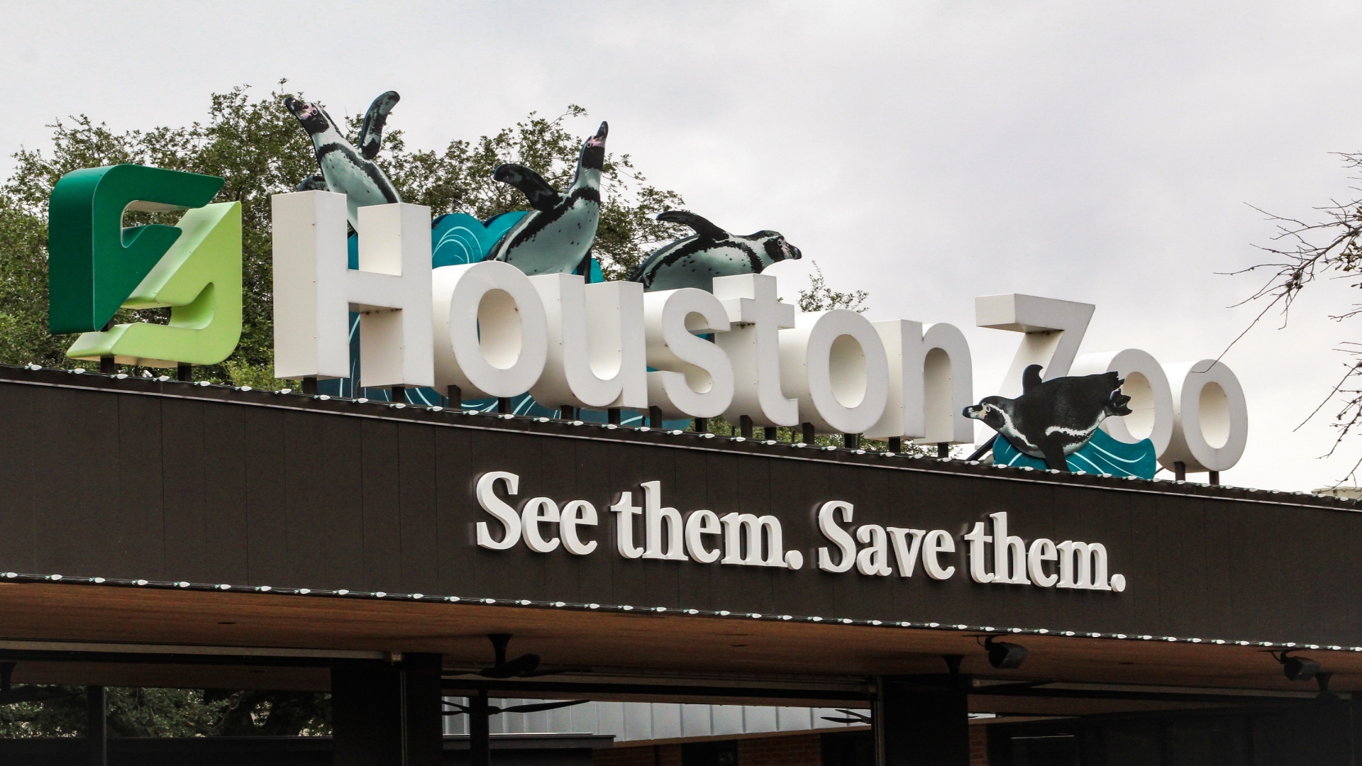 Este zoológico de Houston, Texas, es uno de los mejores de Estados ...