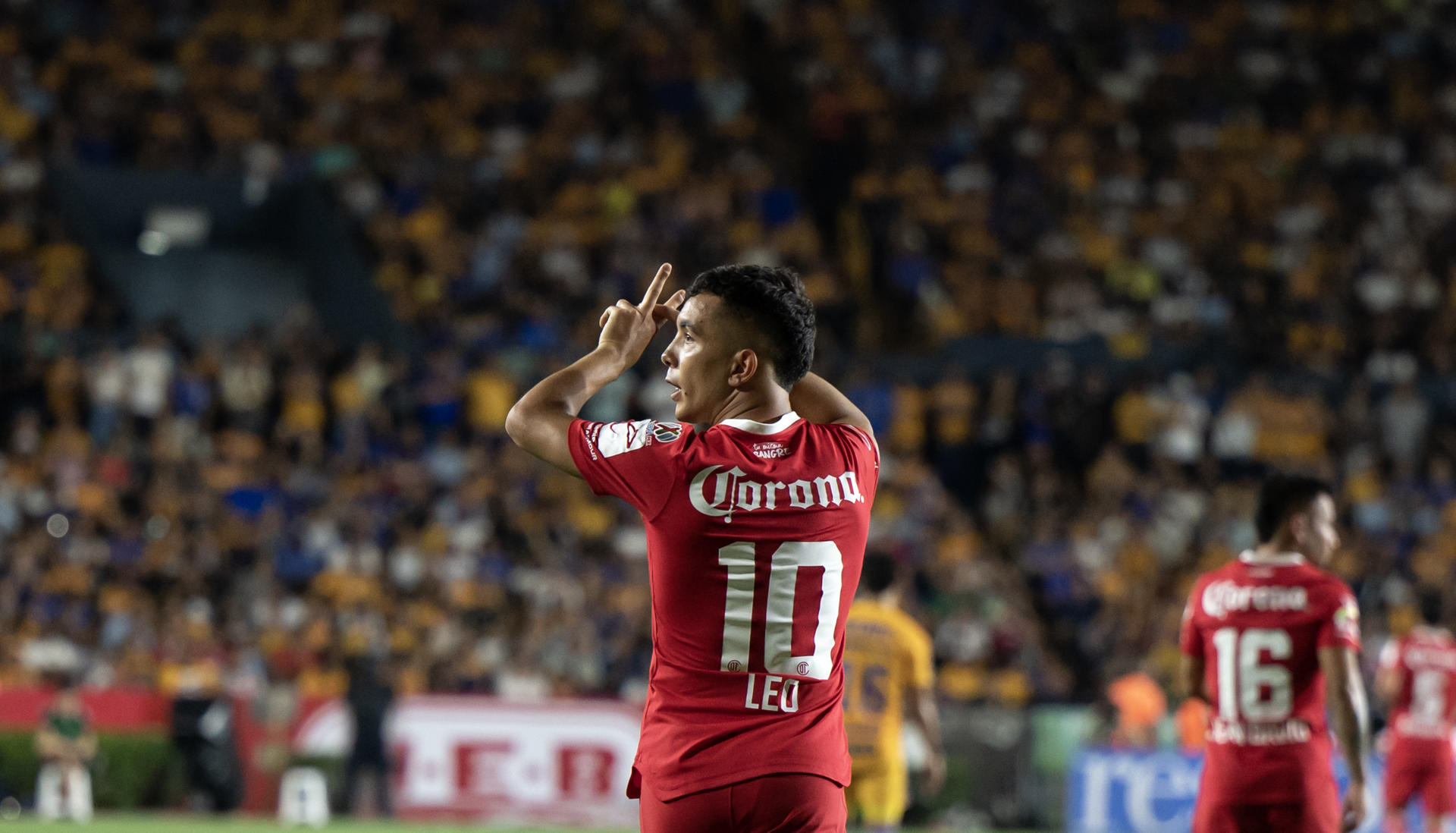 Este sería el futuro de Leo Fernández con Toluca tras la eliminación en ...