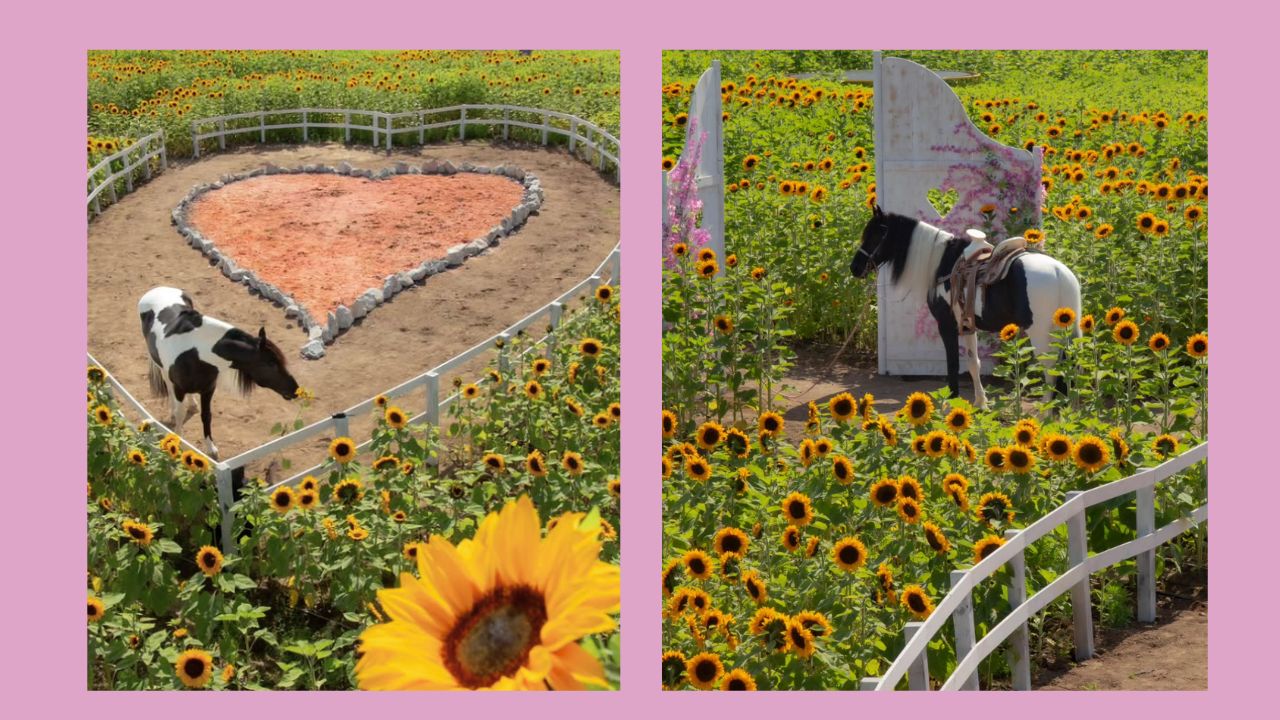 Mictlán Tijuana 2025 ¿Qué precio tiene la entrada y cuál es su horario?