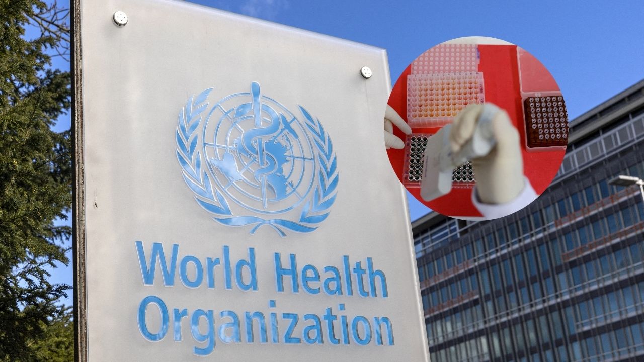 México: OMS confirma primera muerte de paciente con gripe aviar A (H5N2)