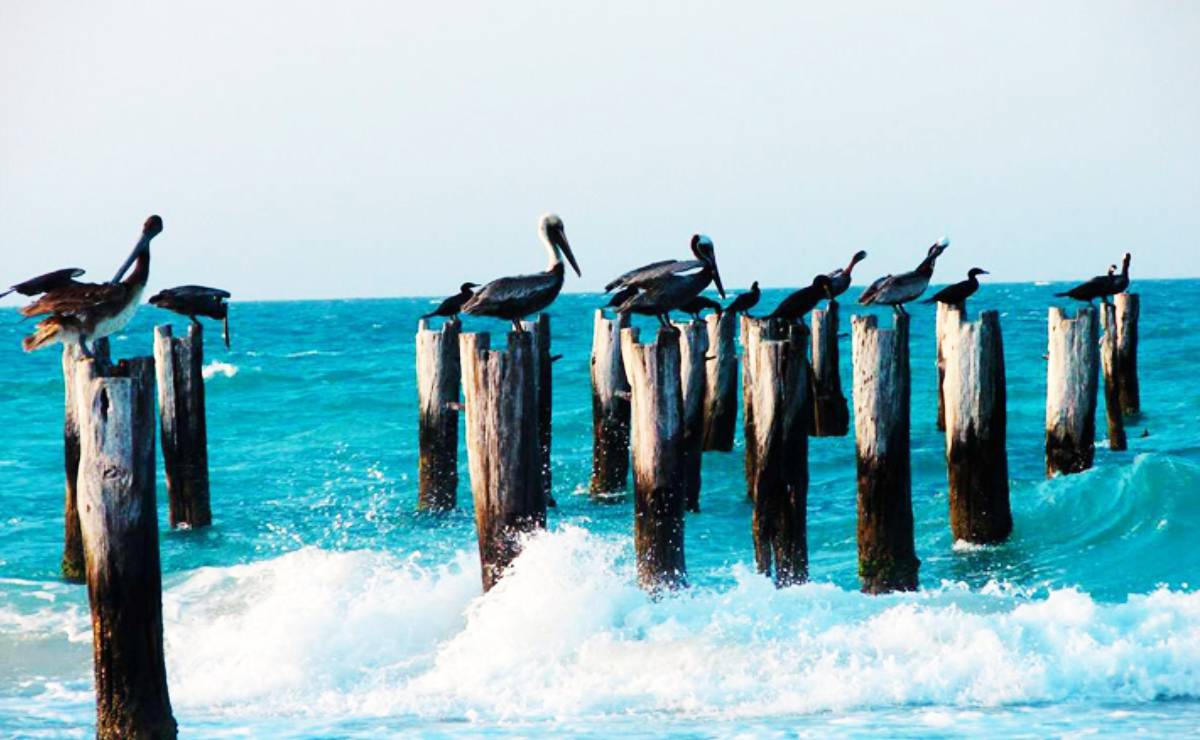 El Cuyo: La playa de Yucatán conocida por su hermoso mar azul turquesa