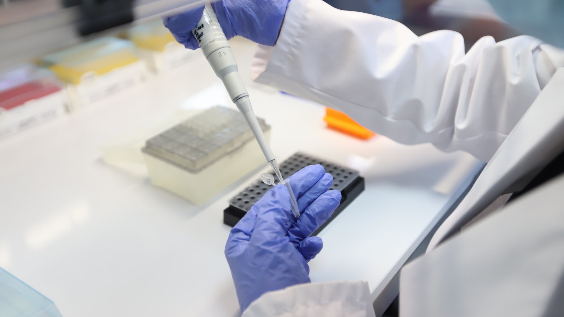 ¿Cuándo se realizarán las tomas de muestras de ADN a familiares de personas desaparecidas en ...