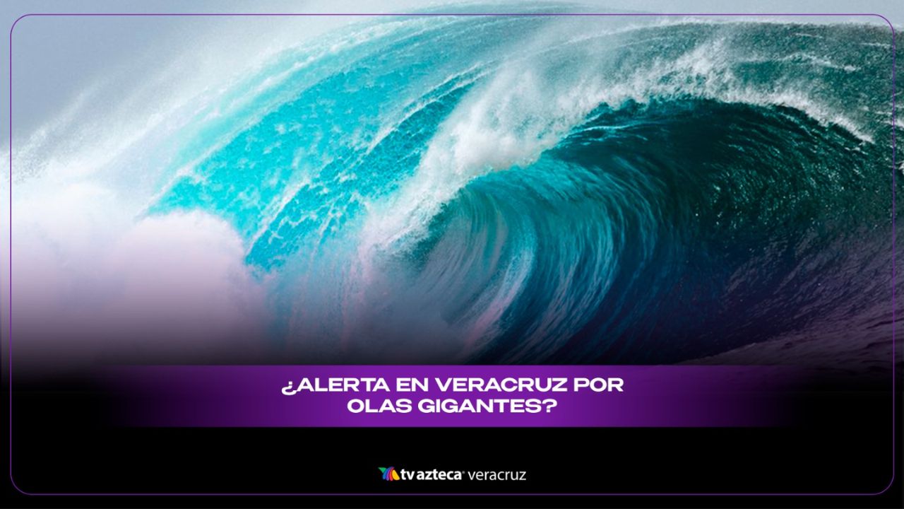 ¿Qué se sabe de las olas gigantes de 35 metros en el pacífico?