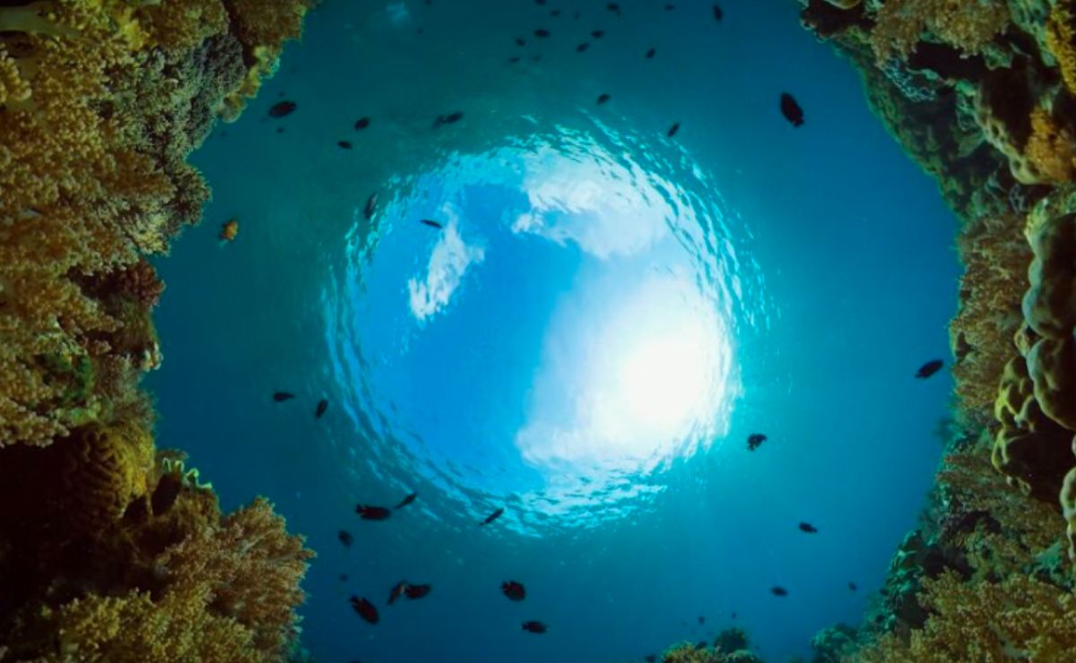 BLUE HOLE: El origen del agujero azul en Chetumal