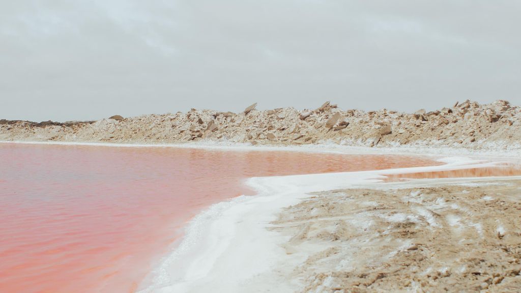 Esto significa que el mar se puso color rosa en San Diego 🌊