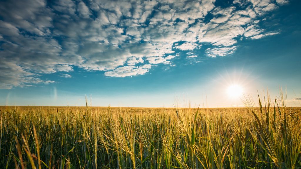 ☀️ Verano en México 2023: ¿Cuándo es el solsticio?