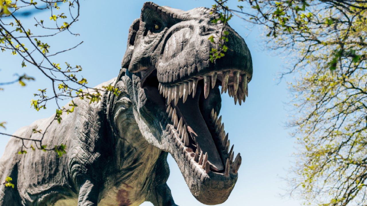 El Tiranosaurio Rex y otros Dinosaurios que habitaron en Chihuahua ...