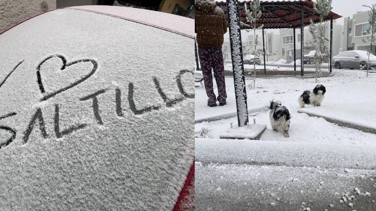 Cae nieve en Saltillo Coahuila