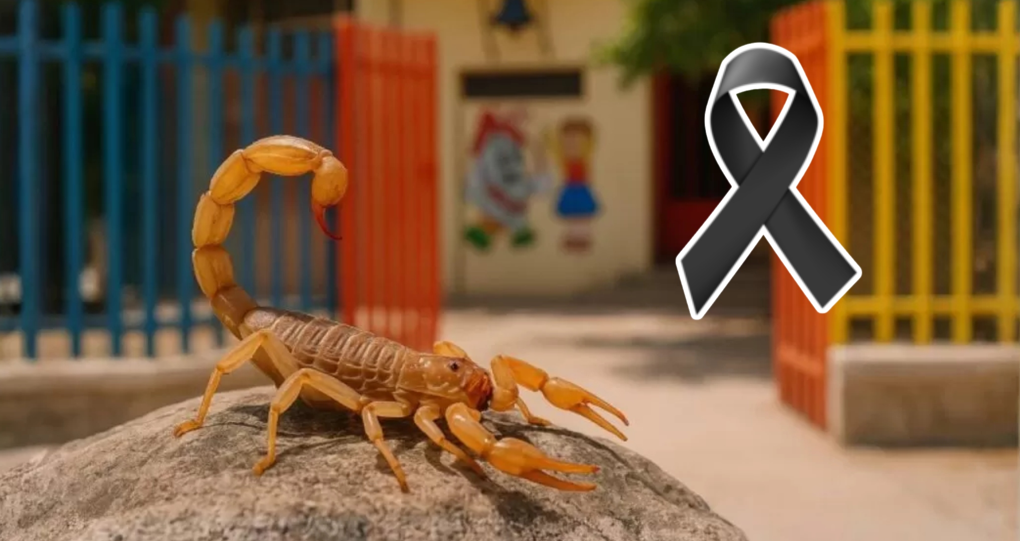 Picadura de alacrán mata a niña en Sonora; así ocurrió la tragedia