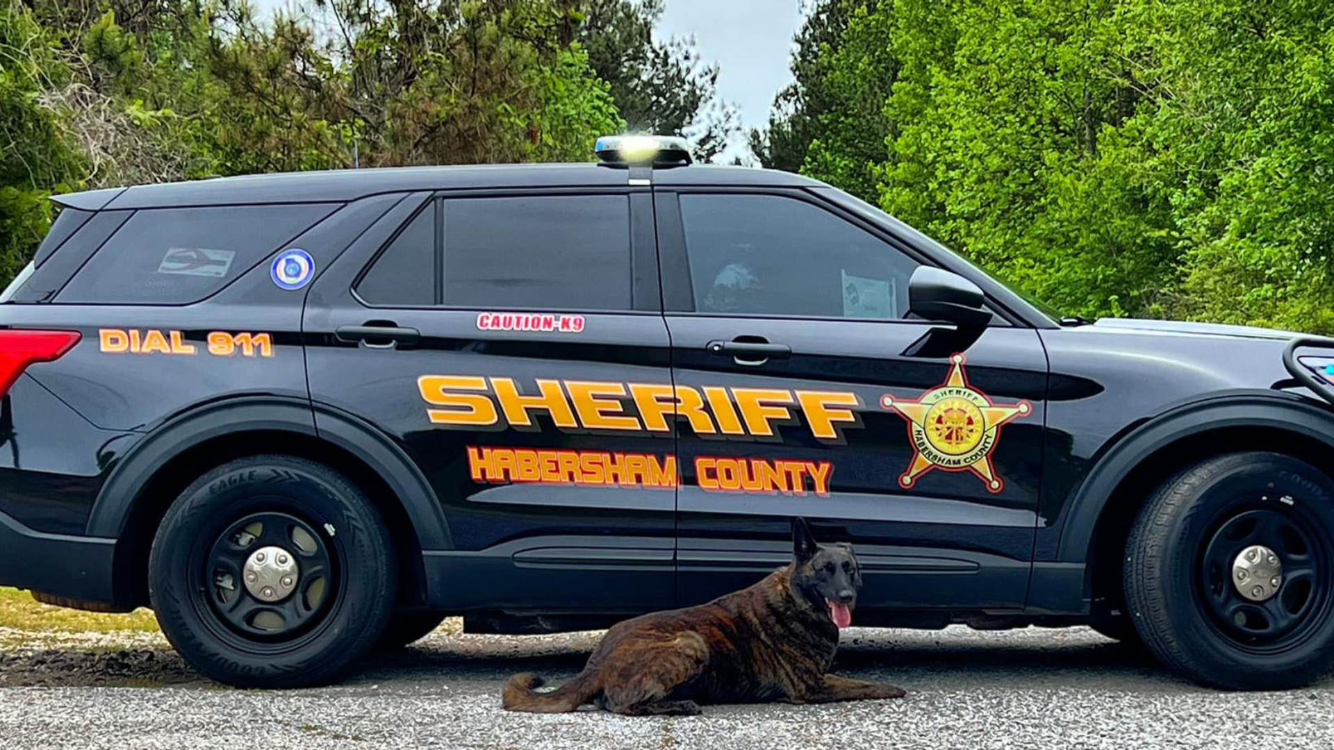 "Con 24 años e inmigrante ilegal": ¿quién es el mexicano que mató a la ...