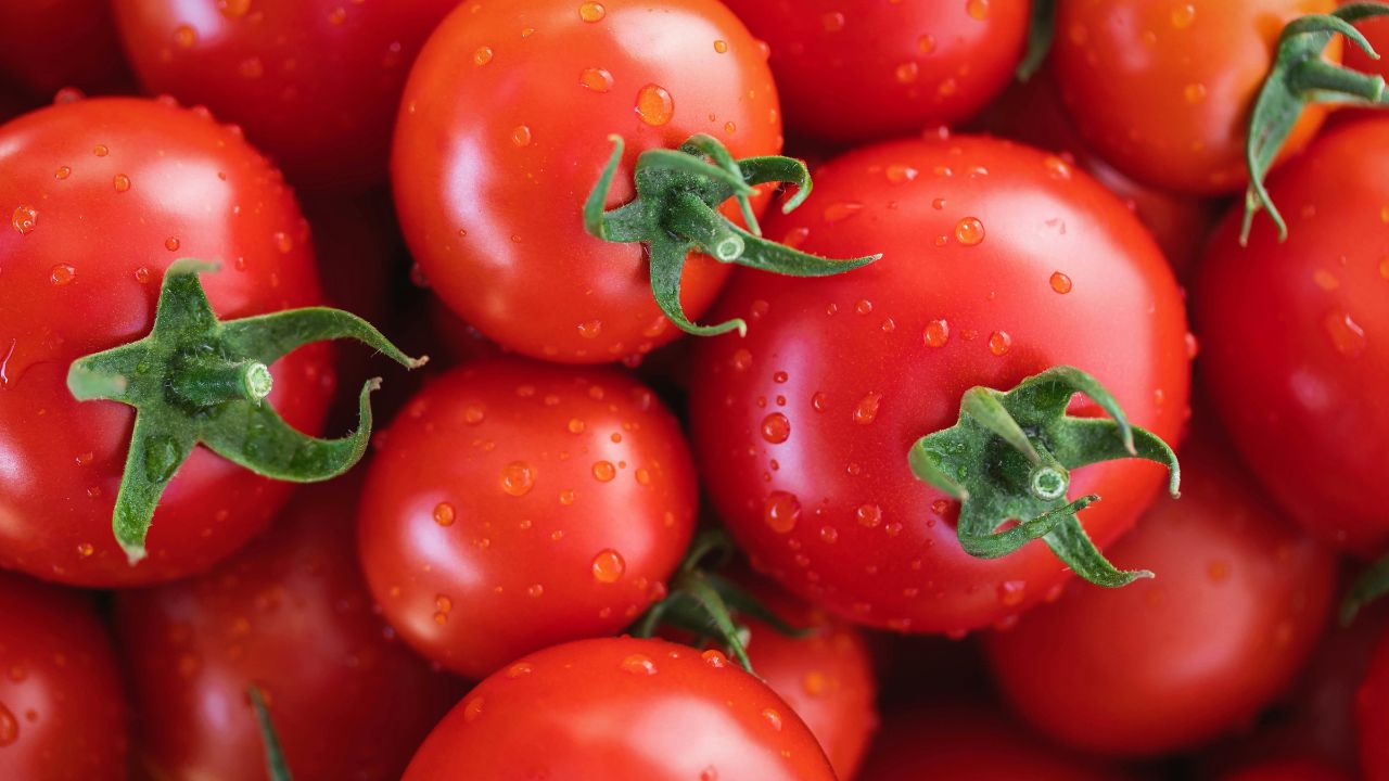 Precio del tomate hoy en Veracruz llega a los 60 pesos