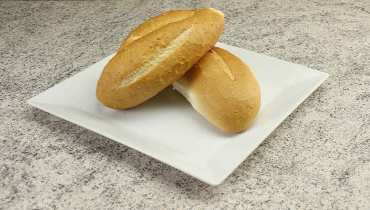 ¿El bolillo tiene proteína? No creerás los aportes de esta comida mexicana