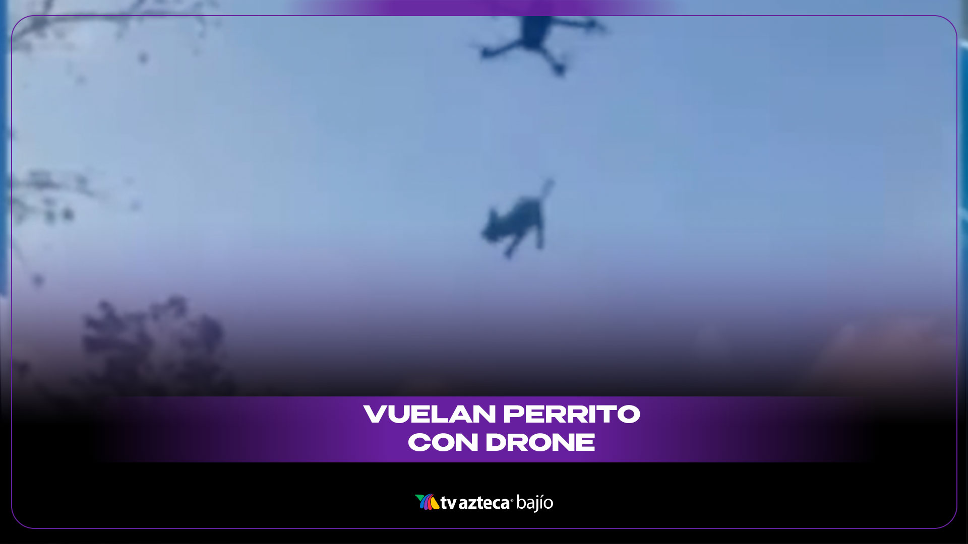 Perro amarrado dron en Quintana Roo: Video viral