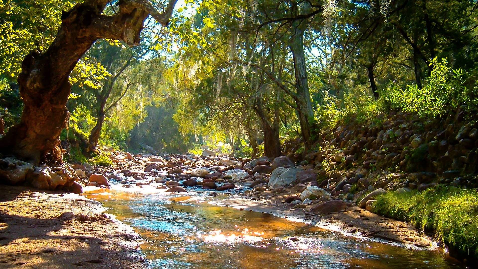 Ecoturismo en Guanajuato: lugares naturales para visitar