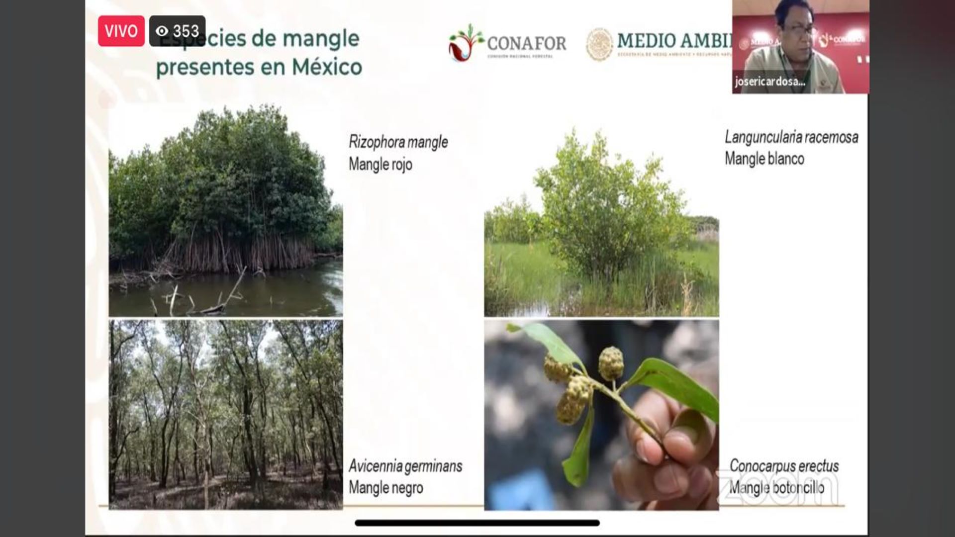 Bosques de mangle, aliados clave para hacer frente al cambio climático
