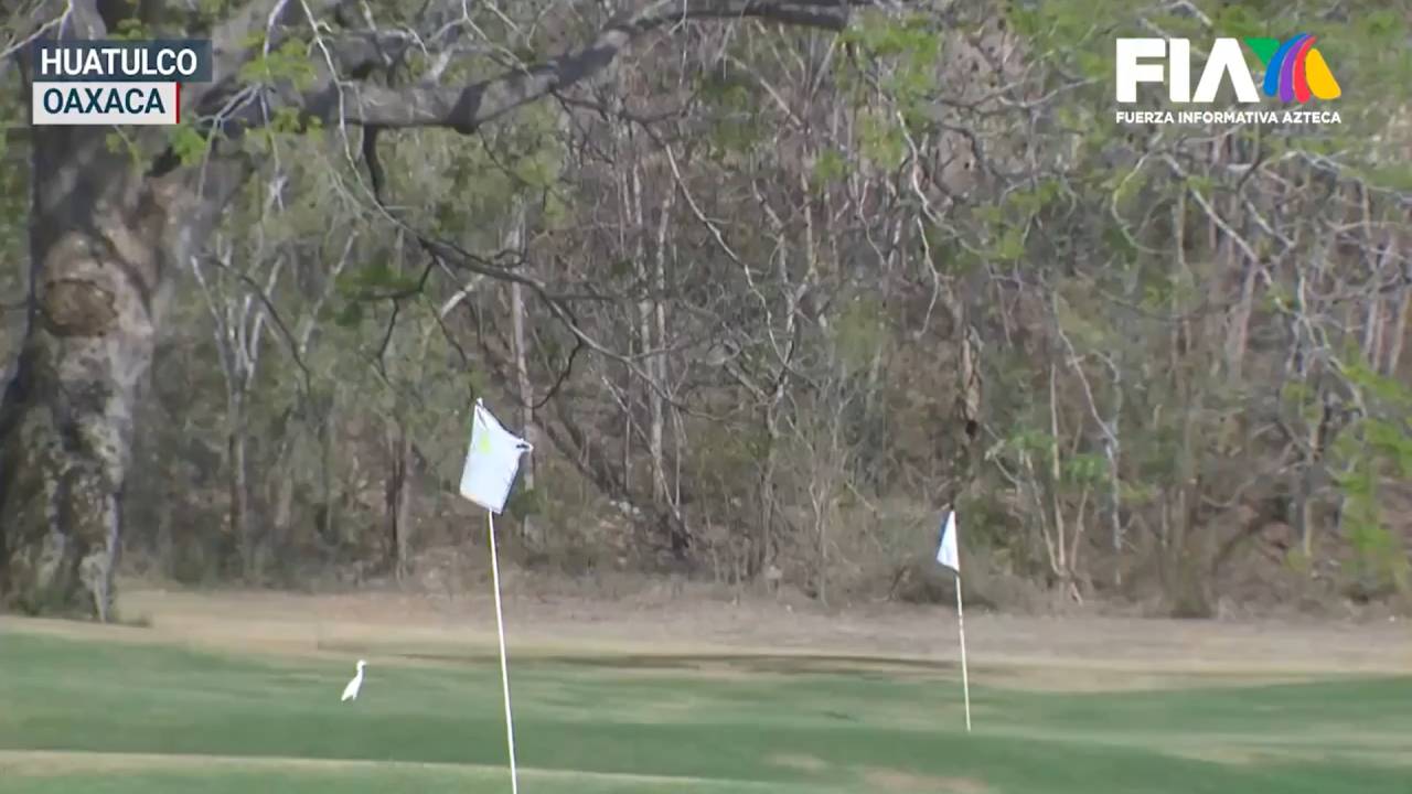 VIDEO: En el campo de golf de Tangolunda los principales afectados son ...