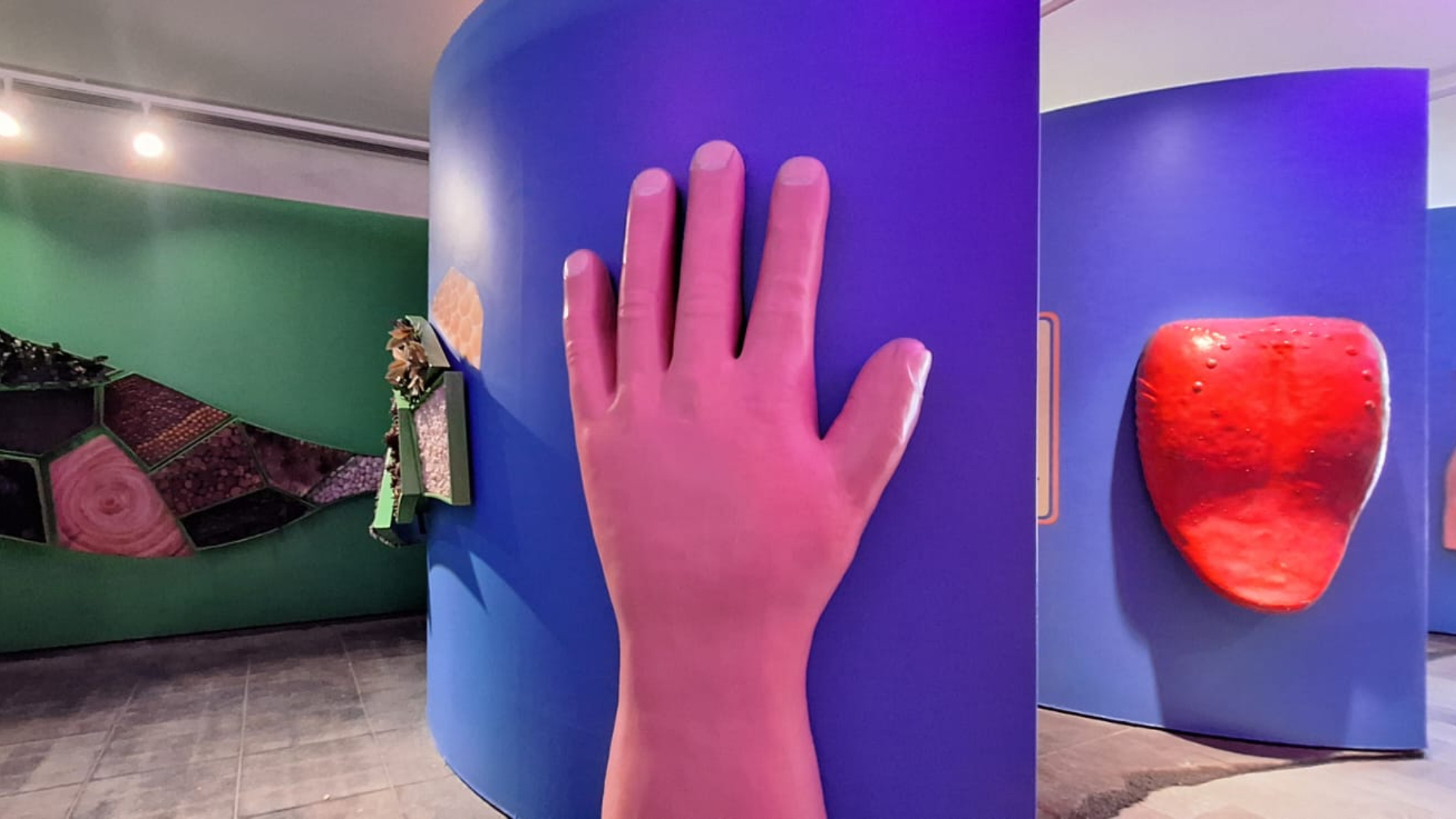 Papalote Museo del Niño inaugura dos exposiciones