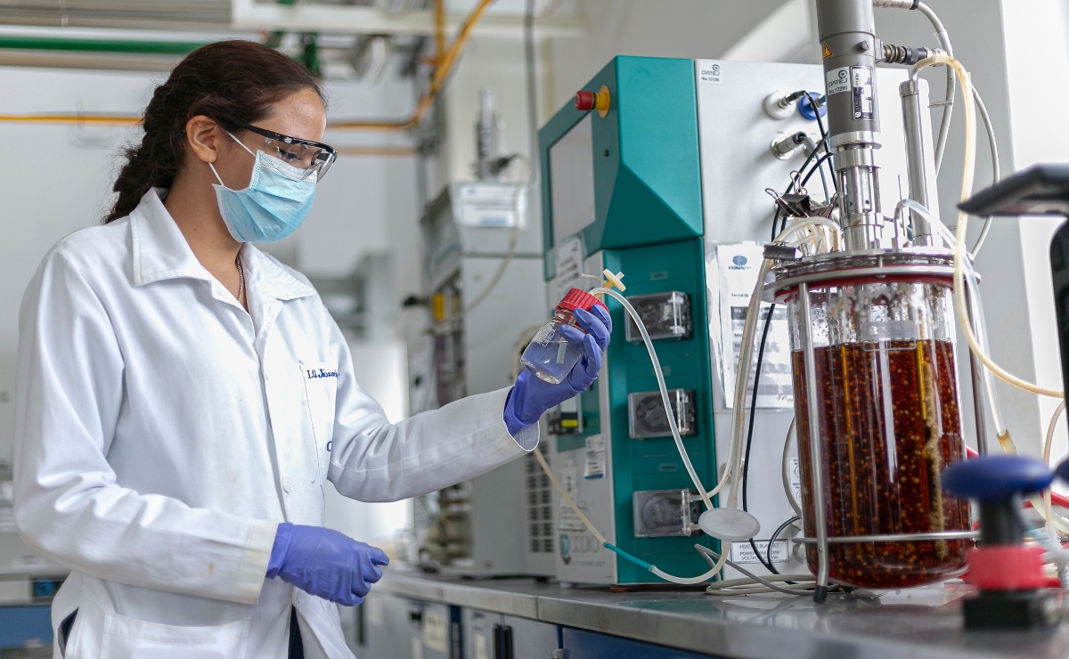 Día del Inventor Mexicano: Inventos reconocidos a nivel mundial