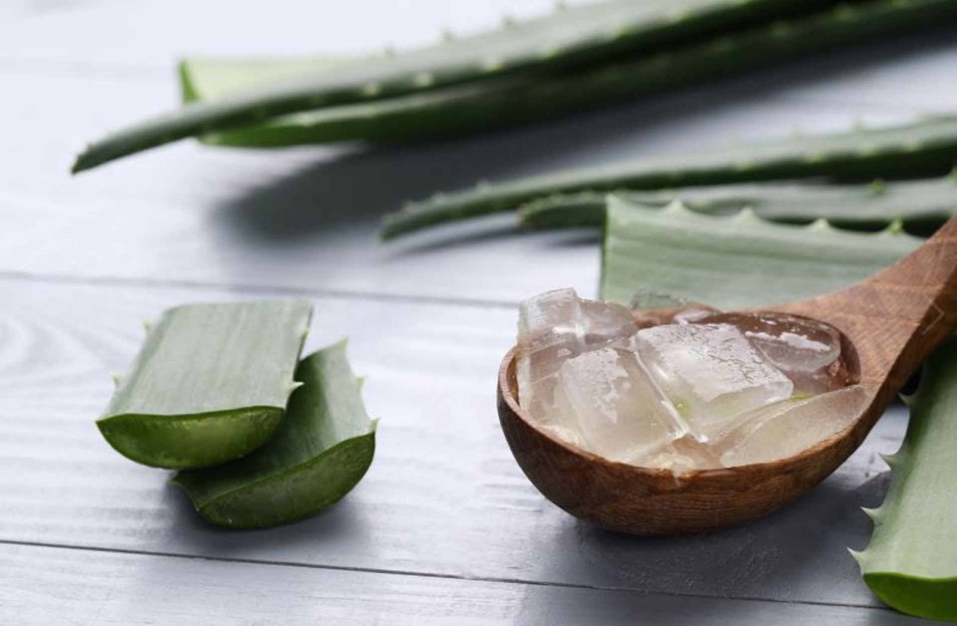 Aloe vera y sus beneficios en la piel sensible